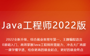 体系课-Java工程师2022版|价值4399元|2022年|重磅首发|35周完结无秘 - 小麻雀IT分享站