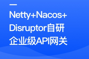 Netty+Nacos+Disruptor自研企业级API网关无密分享 - 小麻雀IT分享站