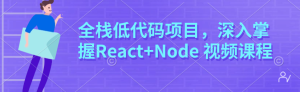 全栈低代码项目，深入掌握React+Node 视频课程，价值899 - 小麻雀IT分享站